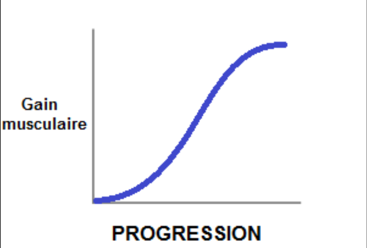 Les 3 facteurs de l'hypertrophie musculaire - ValeoPerformance