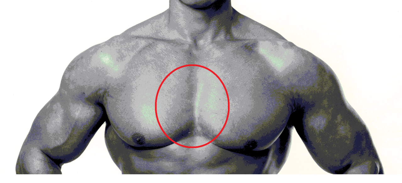 Pour des pectoraux massifs - ValeoPerformance