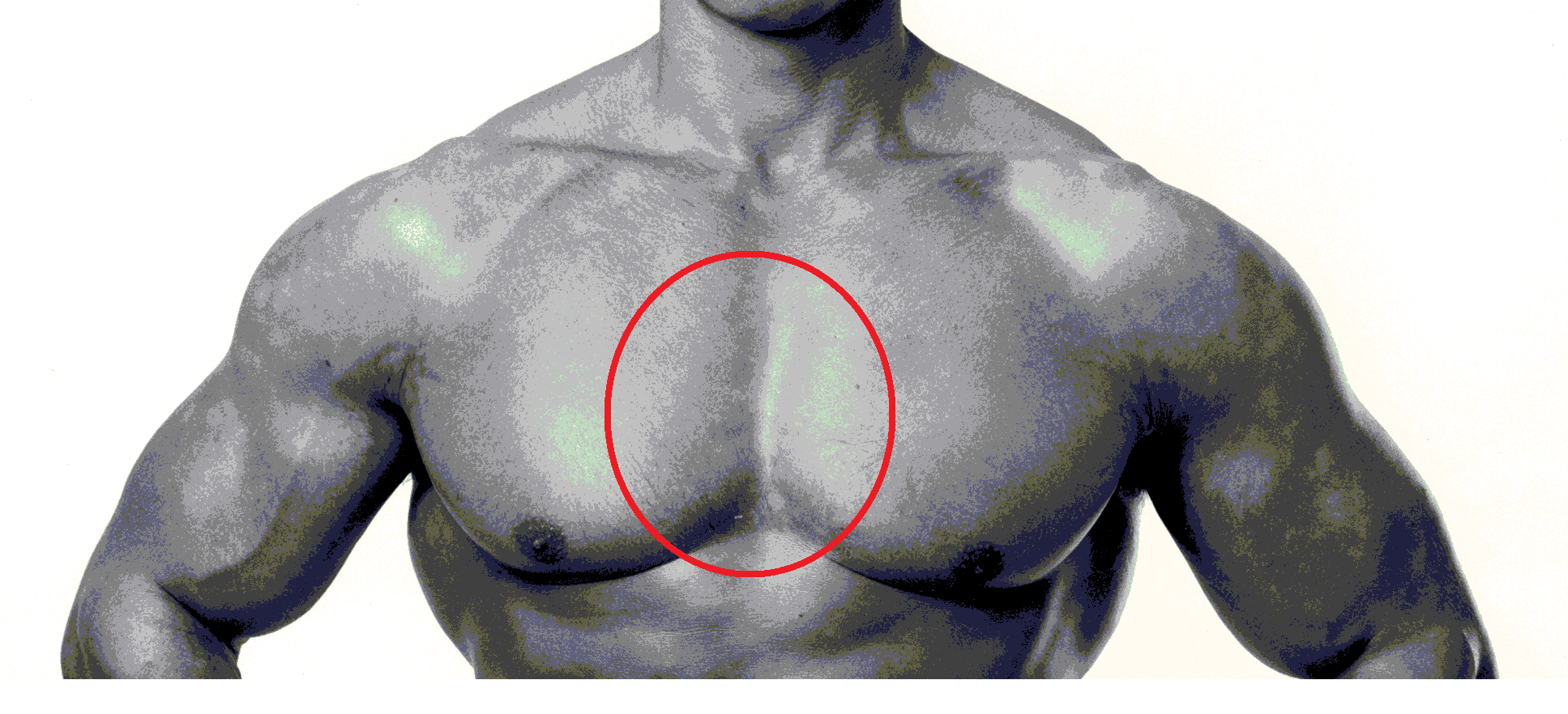 Pour des pectoraux massifs - ValeoPerformance